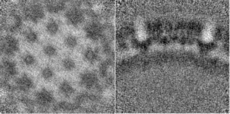 File Last Average From Initial Reference Project Png Dynamo