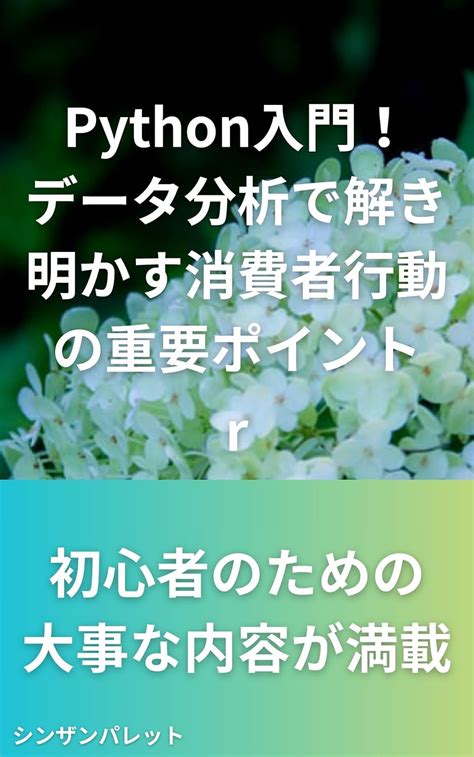 Amazon co jp Python入門データ分析で解き明かす消費者行動の重要ポイント eBook r Kindleストア