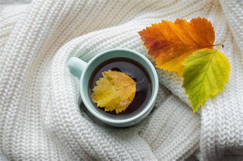 노란 단풍을 띄워 넣은 차와 함께 부드럽게 청록색 컵을 컵 주위에 노란색 빨간색과 노란색 녹색 단풍 아늑한 따뜻한 흰색 니트 직물 를 감싸고있다 가을 편안 0명에 대한 스톡