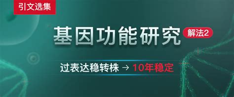 基因功能研究这道题，不只ko一种解法——过表达稳转株案例合集 知乎