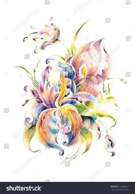 Bouquet Beautiful Flowers Fantastic Pencil Drawing Stock Illustration