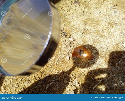 Science Experiment Light Convex Lens From Magnifying Stock Image