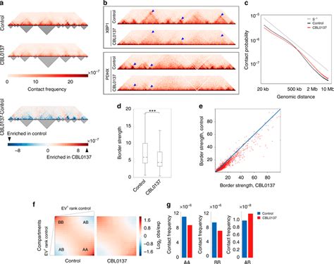 Cbl0137 Disturbs Higher Order Chromatin Packaging A Hic Map Heatmap