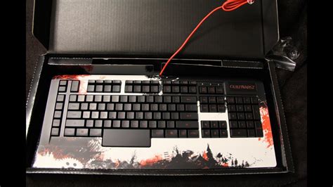 Steelseries Guild Wars 2 Keyboard And Mouse Lit Up In The Dark Youtube