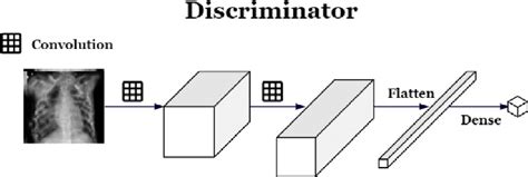 Discriminator Architecture Download Scientific Diagram