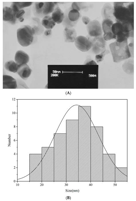 A The Tem Image And B The Particles Size Distribution Of The Agnps Download Scientific