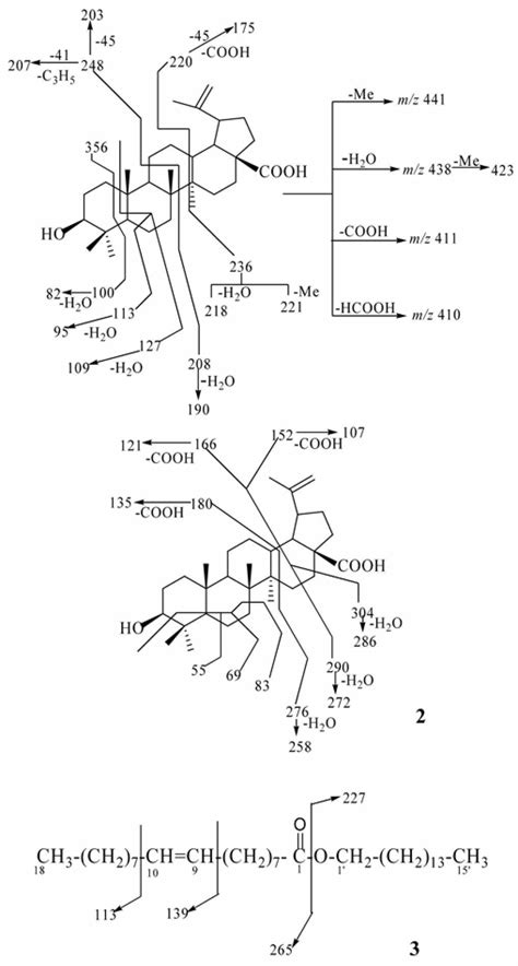 Fragmentation Patterns Of Compound 2 And 3 Download Scientific Diagram