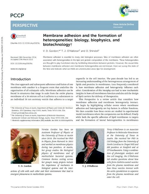 Pdf Membrane Adhesion And The Formation Of Heterogeneities Chaos