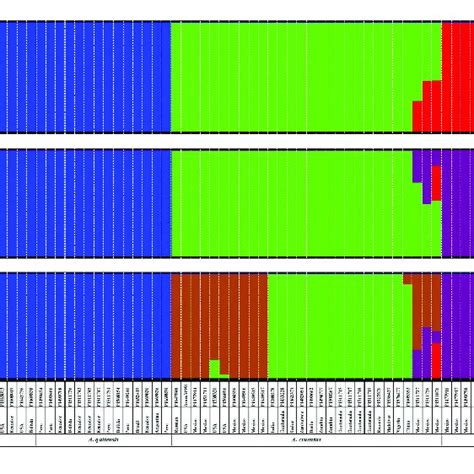 Principal Coordinate Analysis For Three Grain Amaranth Species Download Scientific Diagram