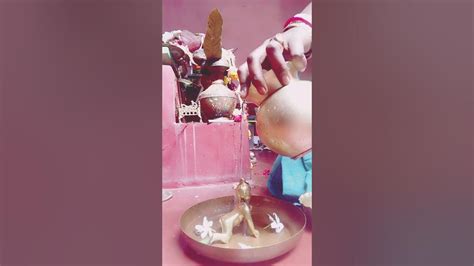 সকালে গোপাল কে স্নান করিয়ে খেতে দিলাম 🙏জয় গোপালের জয় 🙏 Youtube