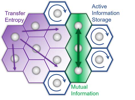 Information Theory As An Experimental Tool For Integrating Disparate Biophysical Signaling