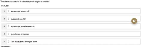 Solved Place These Structures In Size Order From Largest To Smallest Largest An Average Human
