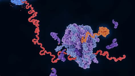 A More Complete Cancer Transcriptome With The Iso Seq Method — Single