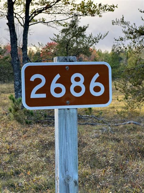 Bog Lake Fs 2686 Michigan Gps Trail Map Conditions And Difficulty Onx Offroad