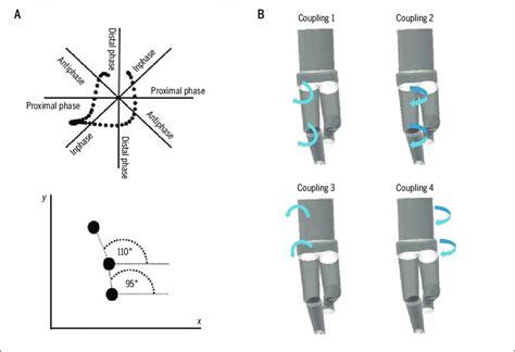 A Exemplar Angle Angle Plot And Detail From Plot Demonstrating Download Scientific Diagram