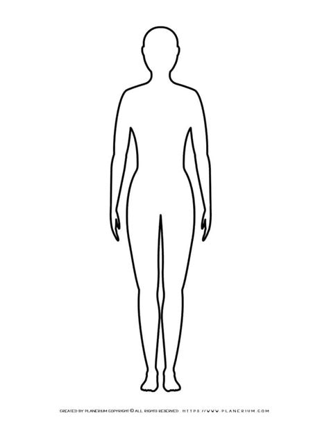 Printable Female Body Outline For Classroom Activities Body Outline