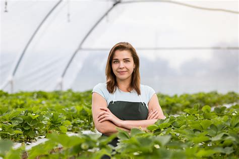 베스트 온실에서 근무 하는 농업 엔지니어와 명의 하 재배 딸기 자 상자 딸기 따기 농장 딸기 작물 개념에 Berrying 여자