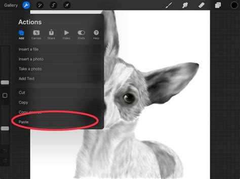 How To Copy And Paste In Procreate The Easy Way Adventures With Art