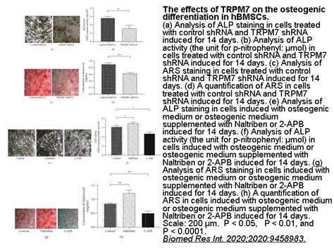 Apb Calcium Channel Modulator For Signaling Research Apexbio