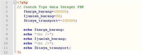 tutorial php tipe data integer dan cara penulisan integer php kursus website and jasa