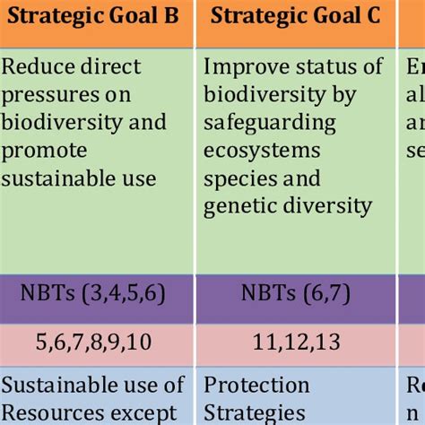 Classification Of Projects And Programs Guidance Documents Download