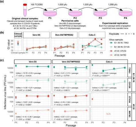 Sars Cov 2 Serial Propagation Experiments Qrt Pcr Cycle Threshold C