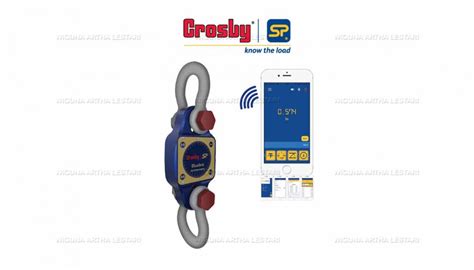 Bluelink Bluetooth Digital Dynamometer Wal