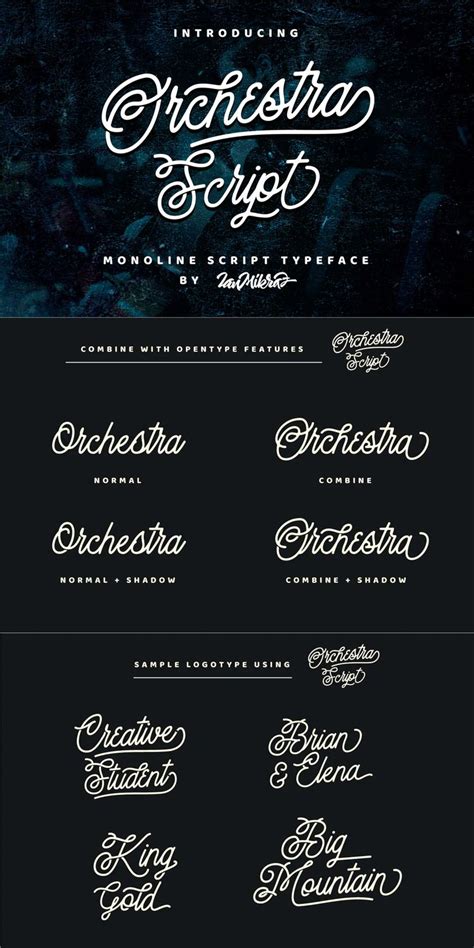 Monoline Script Typeface Fonts Script Typeface Typeface Font Typeface
