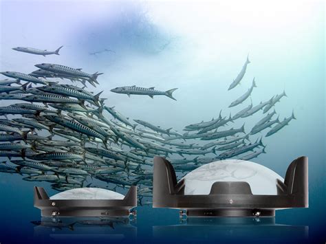 When To Use A Compact 8 Dome Port Underwater