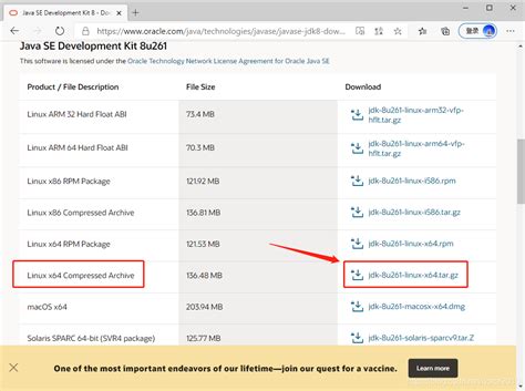 Linux安装JDK 程序视点 博客园