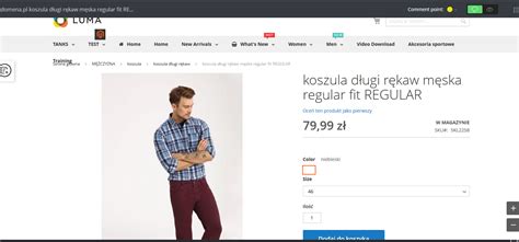 Attributes Magento 213 No Text Swatches On Frontend Solved
