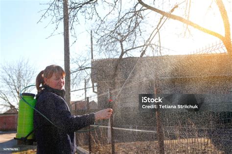 훈증 페스티 해충 방제 봄 정원에서 곤충에 대한 수동 살충제 분무기로 나무를 뿌리는 농부 여자 농업과 원예 화학 스프레이 초점이 맞지 않음 40 44세에 대한 스톡 사진 및