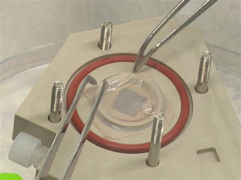 Video A Combined 3d Tissue Engineered In Vitroin Silico Lung Tumor