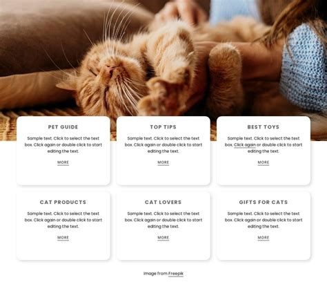 Tips For Cat Owners Css Template By Nicepage Tips For Cat Owners Css Template By Nicepage