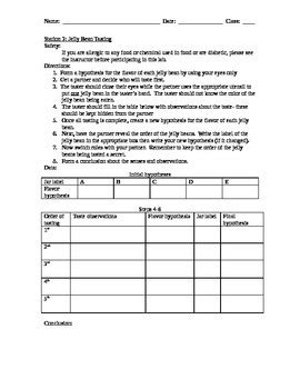 Observation Lab Inquiry By Sarah S Science And More Store TpT