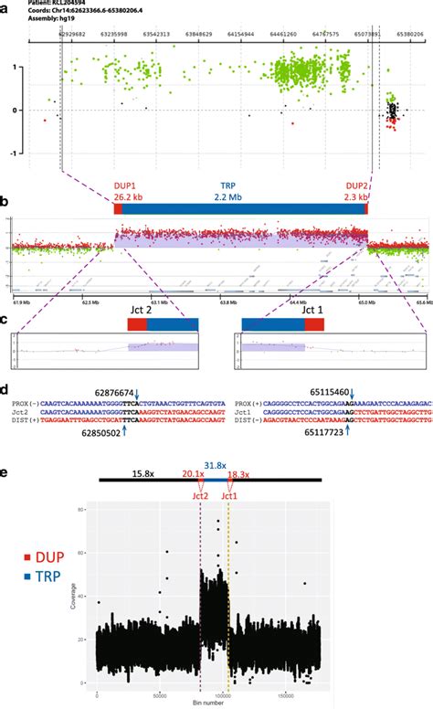 Triplication Followed By Roh Shows Dup Trpinv Dup Pattern A Agilent