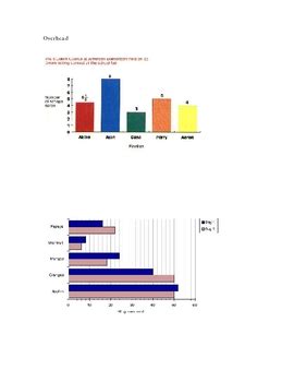 Making Double Bar Graphs By Elizabeth Quinn Teachers Pay Teachers
