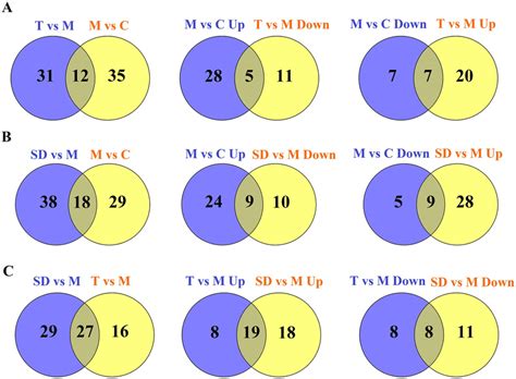 comparisons of the number and overlapping relationships of