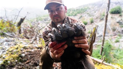 Oregon Spring Bear 2021 Youtube