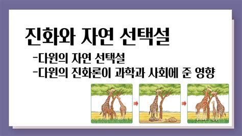 진화와 자연 선택설 L 다윈의 자연 선택설 다윈의 진화론 Youtube
