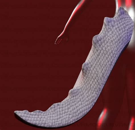 Dragon Tail Vrmodels 3d Models For Vr Ar And Cg Projects