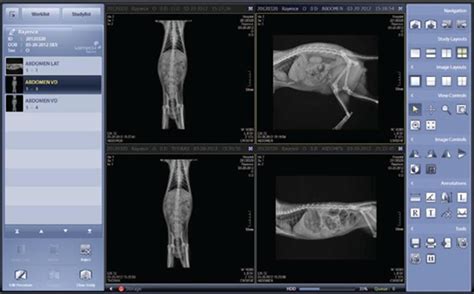 Rayence Viewing Software A D Imaging