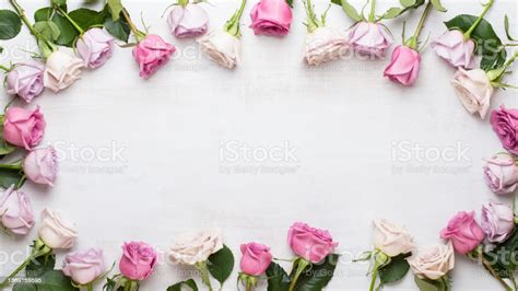 꽃 발렌타인 데이 구성 회색 배경에 분홍색 장미로 만든 프레임 플랫 레이 상단 보기 복사 공간 0명에 대한 스톡 사진 및 기타 이미지 Istock