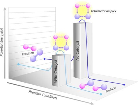 Diagram Catalyst Royalty Free Images Stock Photos Pictures Shutterstock