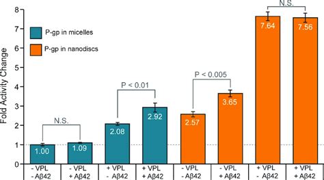The Effect Of Amyloid β 42 On The Atpase Activity Of P Gp In Micelles