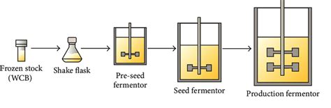 Flow Diagram For The Classical Fermentation Process The Number Of Seed Download Scientific