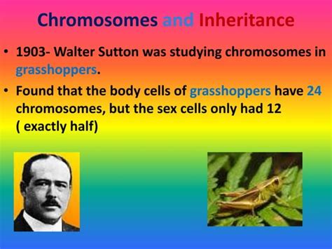 Section 3 The Cell And Inheritance Ppt