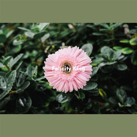 Massage And Bodywork