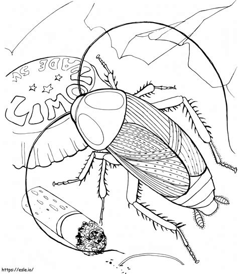 Cockroach And Trash Coloring Page