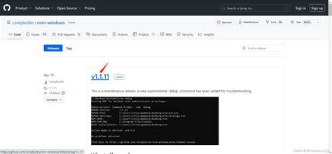 nvm下载安装教程（node js 下载安装教程） csdn博客